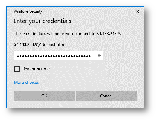 Accessing Your EC2 Instance