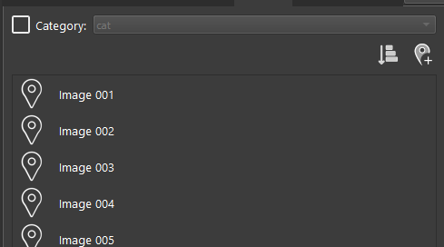 CW TruSpace GeoTags Panel