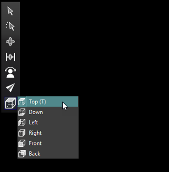 Orthographic Viewing Directions